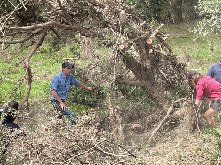 Our values – ShoreTrack